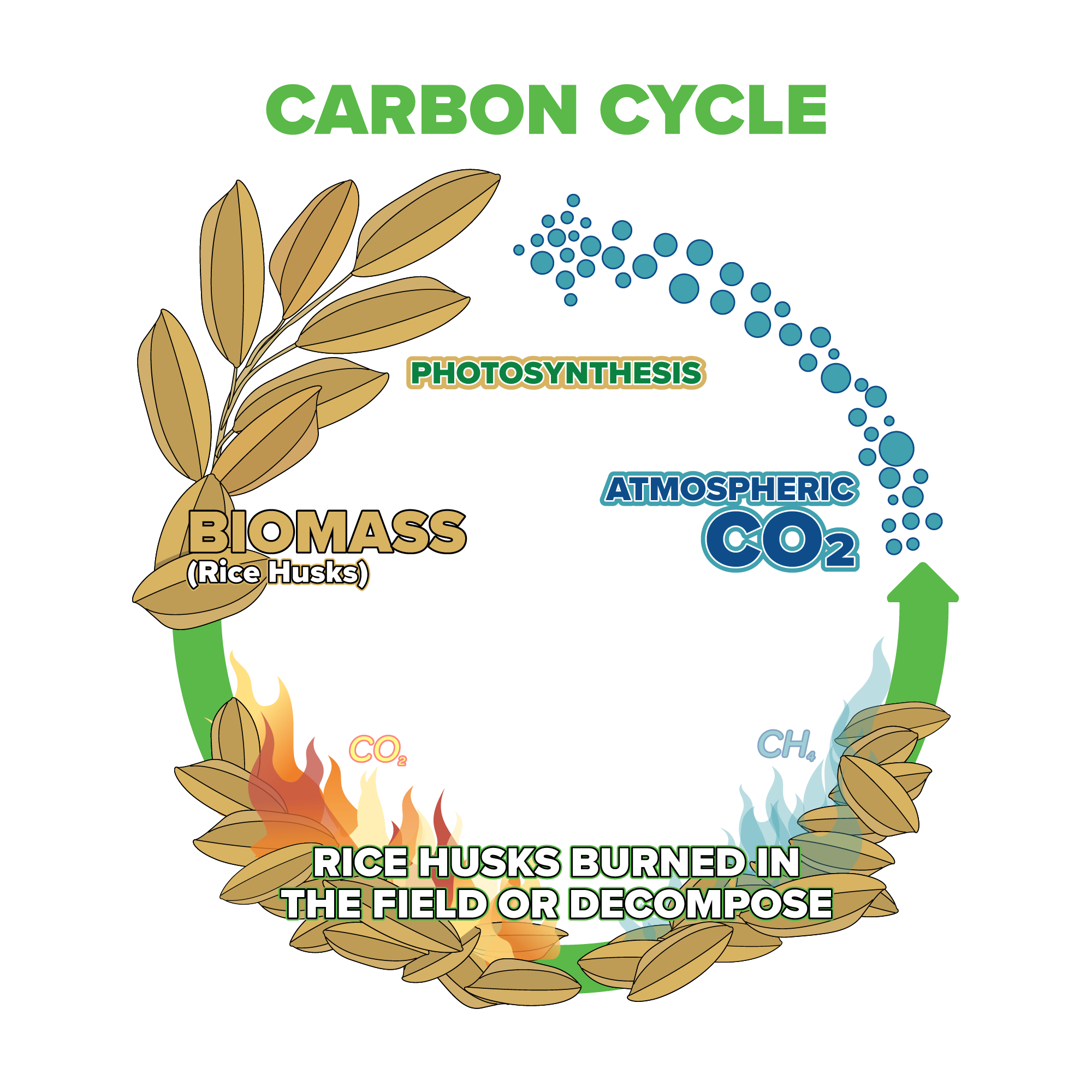 Applications — Glanris Biocarbon Biochar