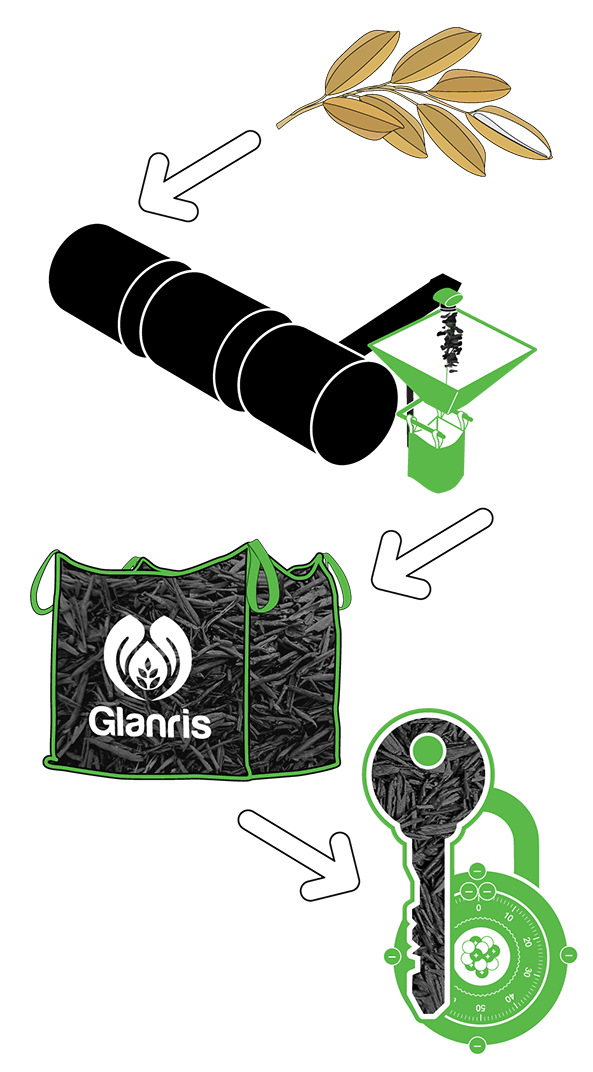 Biocarbon — Glanris Biocarbon Biochar