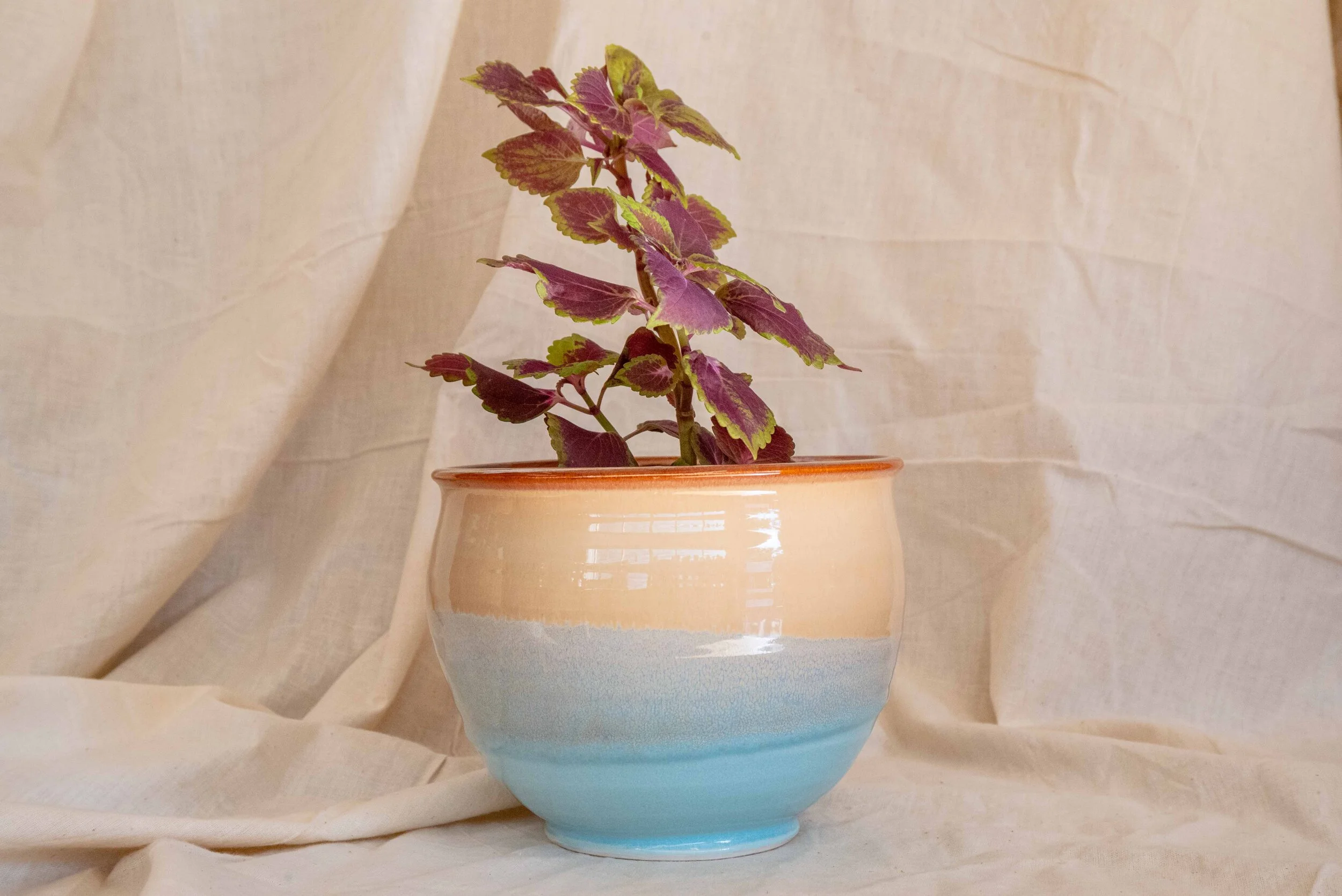 New Zealand Ceramic Homewares | Westcoast Stoneware