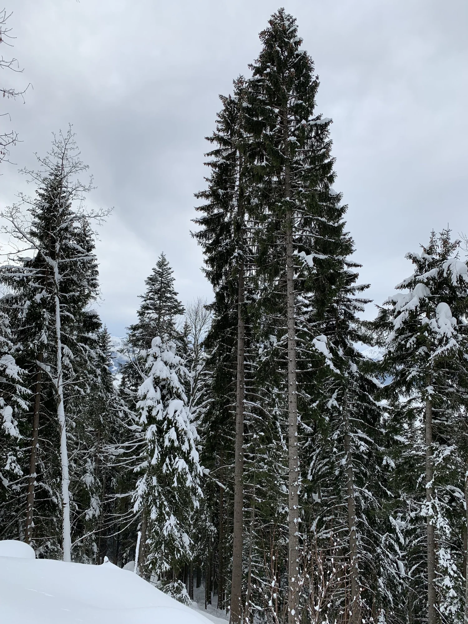 Finally, Skiing in Switzerland: Villars-sur-Ollon — Observing Leslie