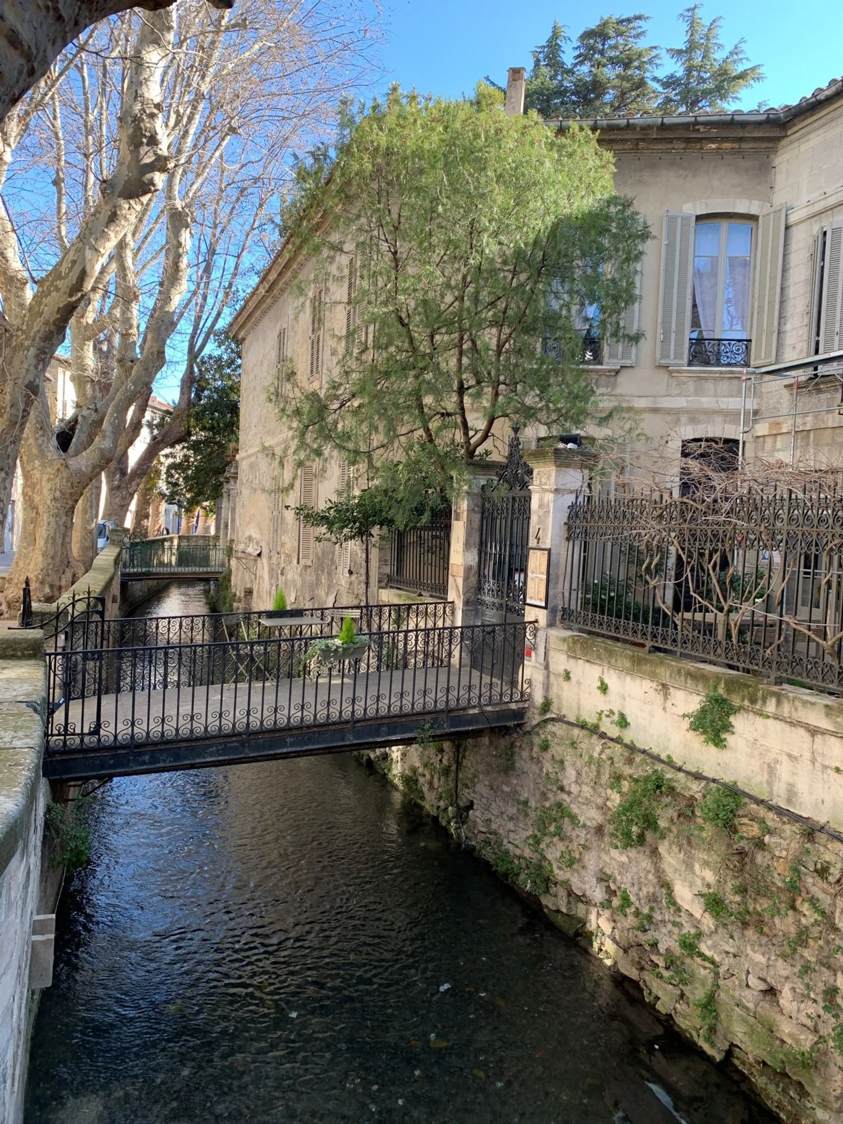 Avignon in Winter: What to See, Do, and Expect — Observing Leslie