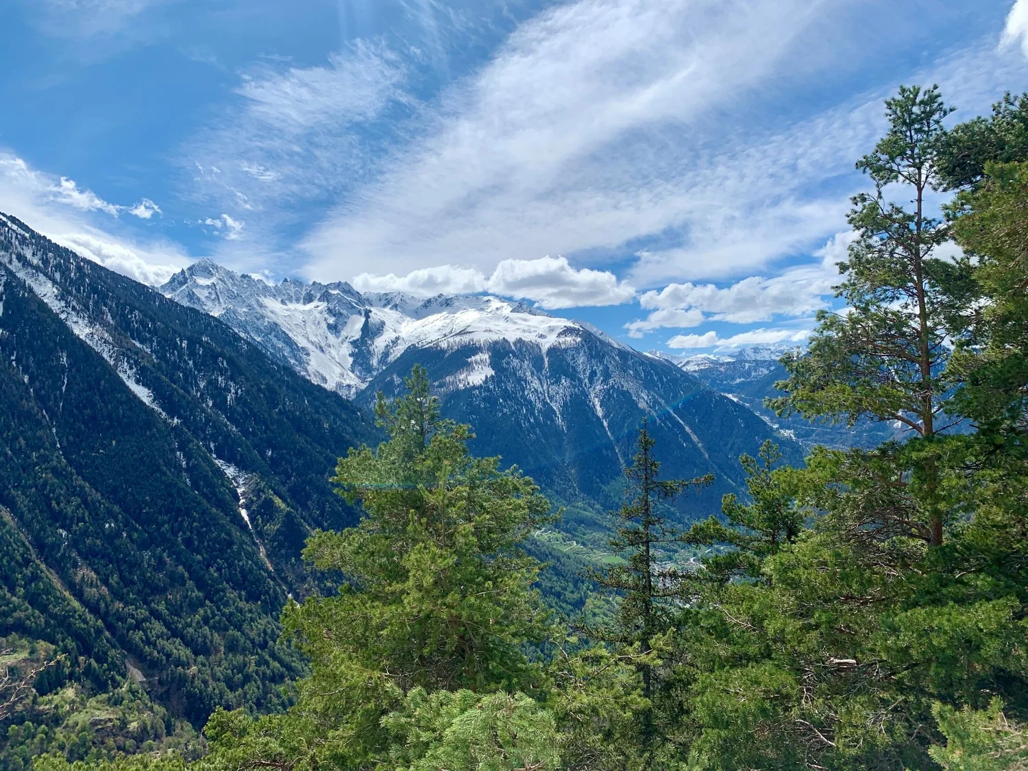 Yodel All the Day Long: The Swiss Federal Yodeling Festival — Observing ...
