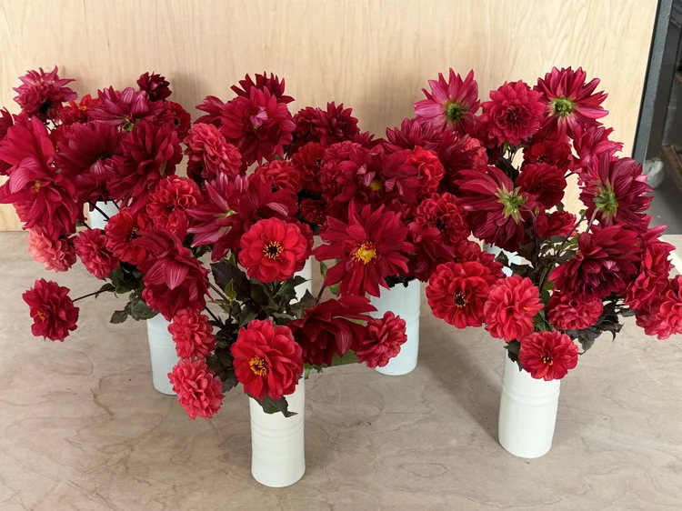 Purchase — Amanda Moffat Pottery