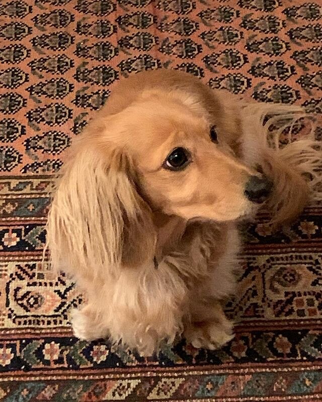 Instagram — Amanda Moffat Pottery