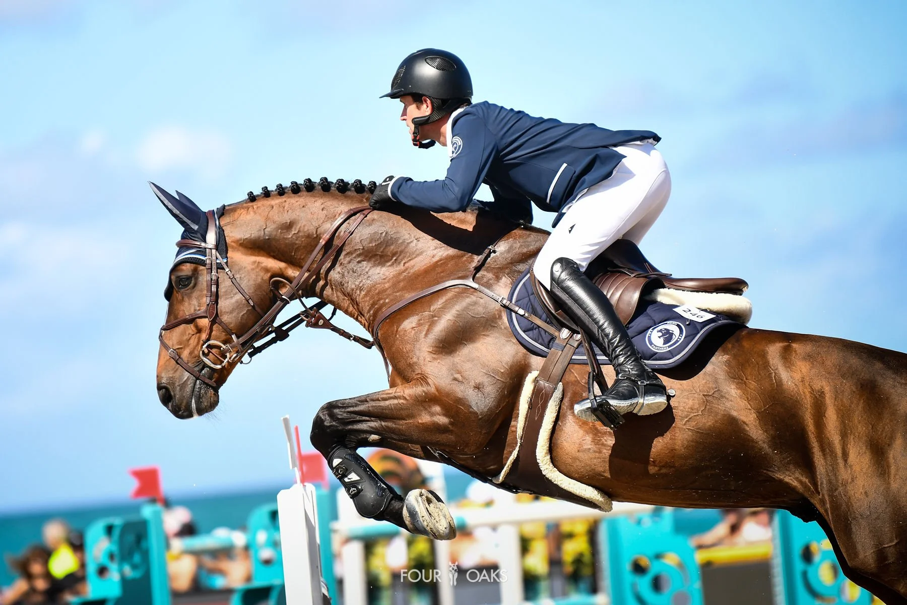Volnay — Oakland Stables