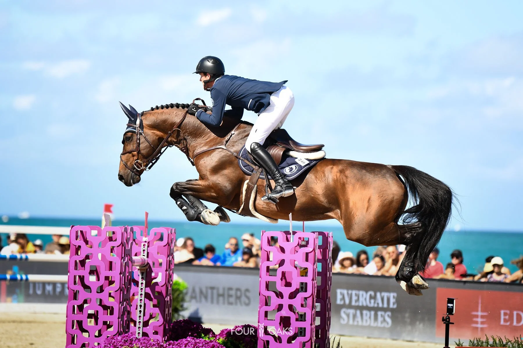 Competition — Oakland Stables