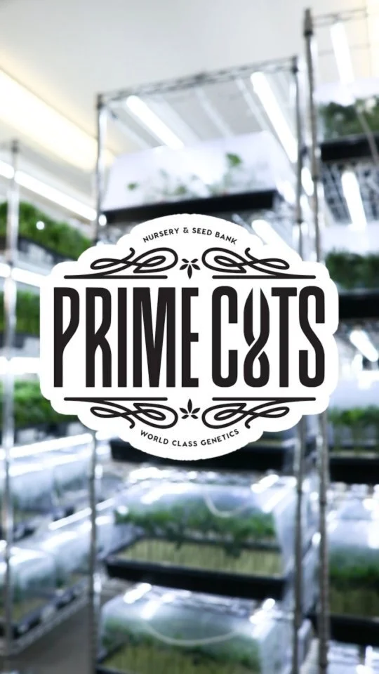 Clone Strain Menu — Prime Cuts Cannabis Clone Nursery and Seed Bank