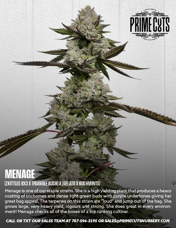 Clone Strain Menu — Prime Cuts Cannabis Clone Nursery and Seed Bank