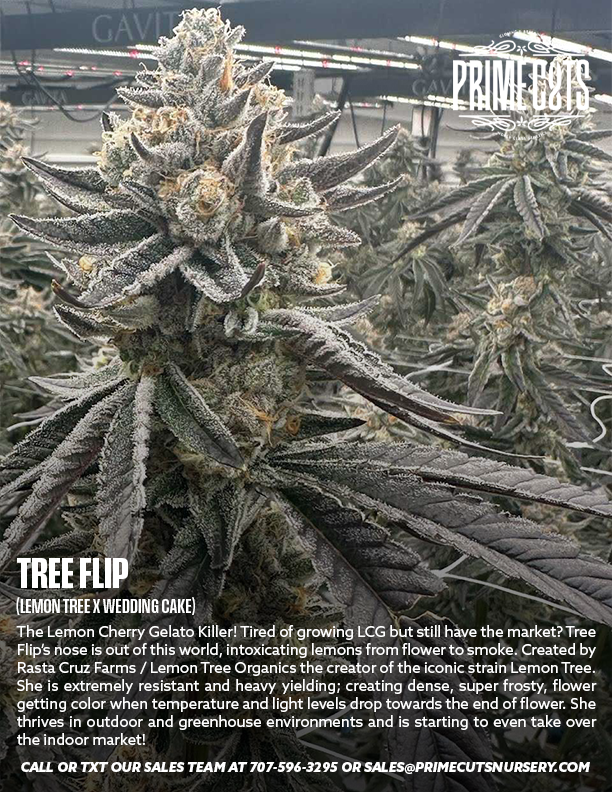 Clone Strain Menu — Prime Cuts Cannabis Clone Nursery and Seed Bank
