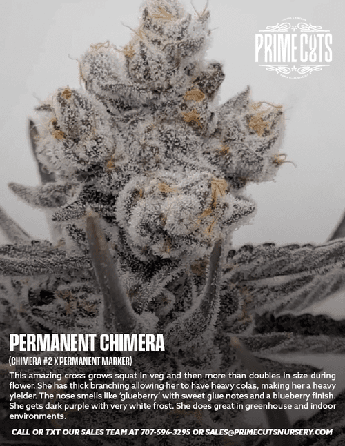 Clone Strain Menu — Prime Cuts Cannabis Clone Nursery and Seed Bank