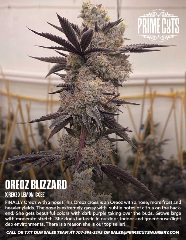 Clone Strain Menu — Prime Cuts Cannabis Clone Nursery and Seed Bank