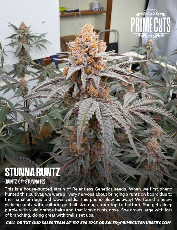 Clone Strain Menu — Prime Cuts Cannabis Clone Nursery and Seed Bank