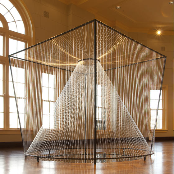 Greer Taylor — Illawarra Association for the Visual Arts