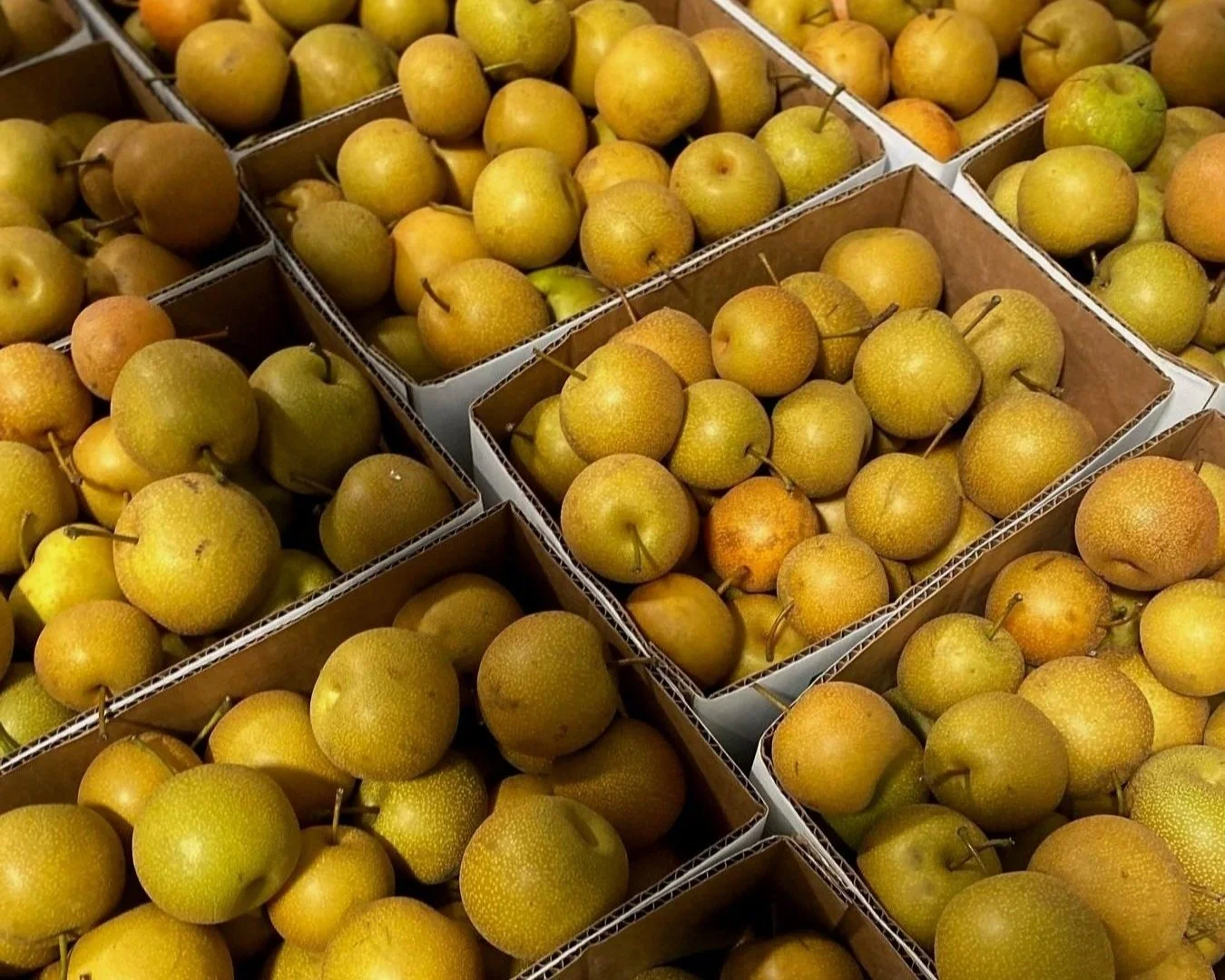 Pears — McMullin Orchards Inc.