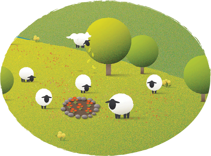 Good Morning Sheep Illustration — Belinda | Lettering Artist and ...