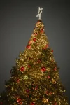 Best Christmas Spots in San Francisco — sarowly | sf + california ...