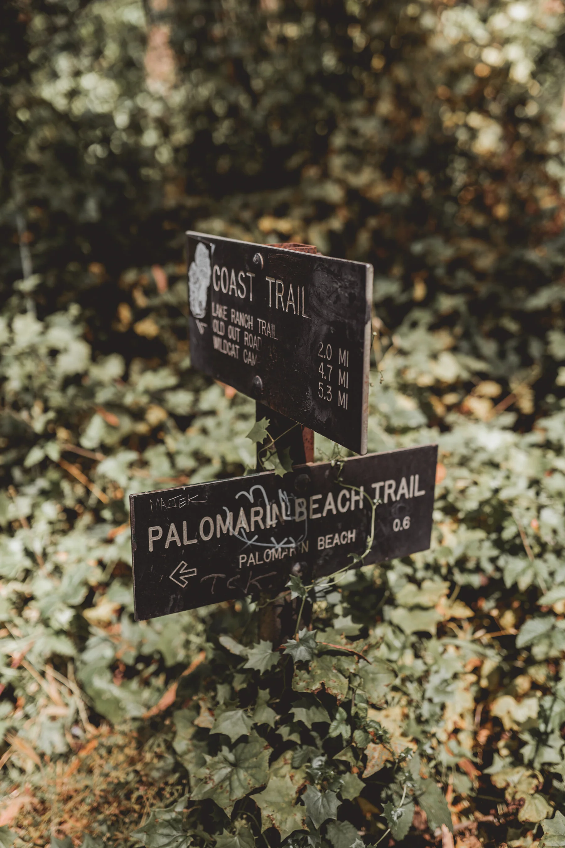 SF Bay Area Day Trips - Hike to Alamere Falls and Palomarin Trail ...