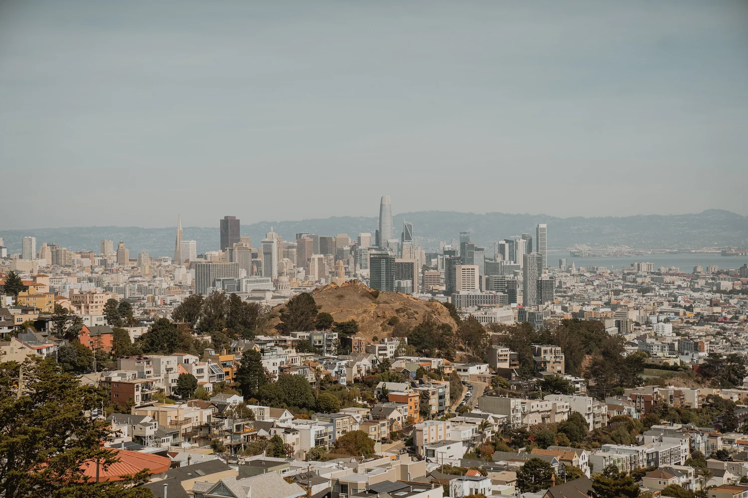 The Ultimate Local’s Travel Guide to San Francisco — sarowly | sf ...