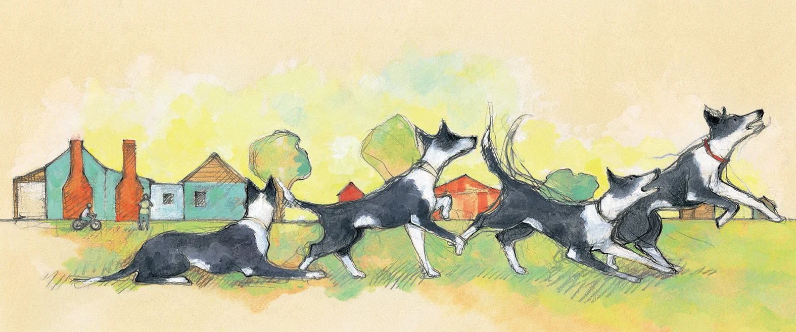 Banjo & Ruby Red — Freya Blackwood