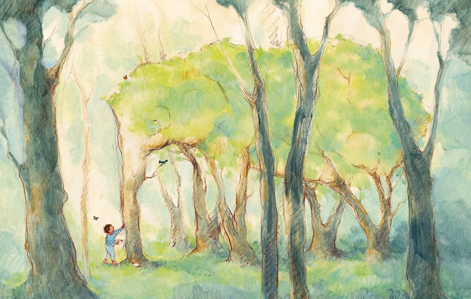 The Boy and The Elephant — Freya Blackwood