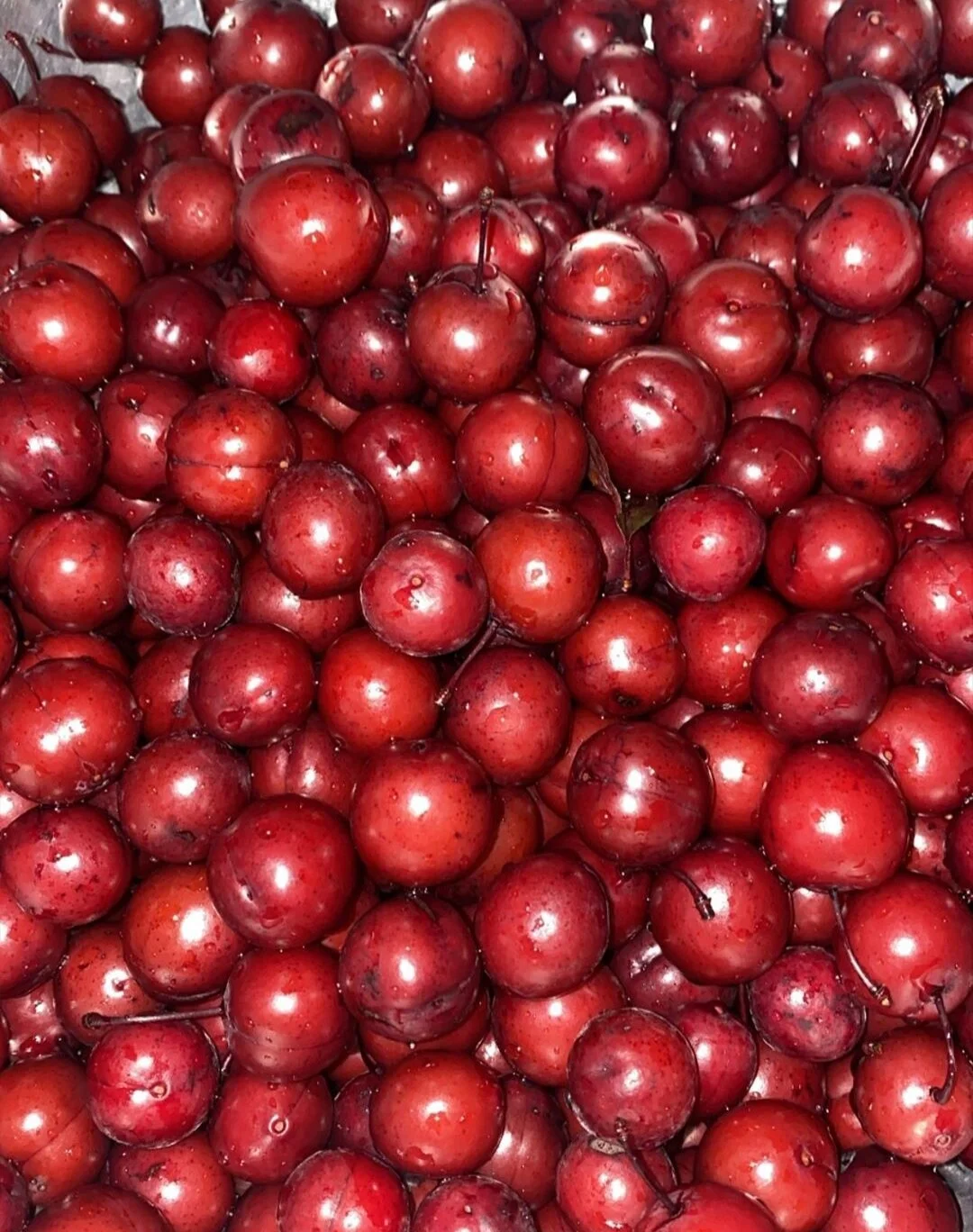 Order Now — THE ORIGINAL CRACK SAUCE