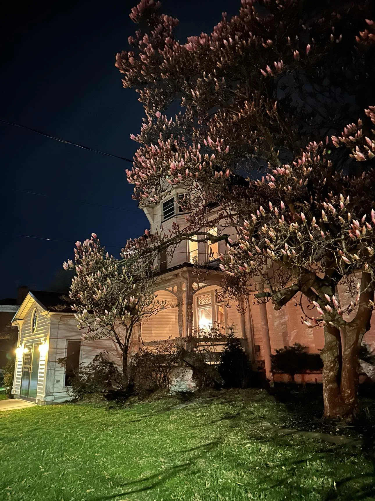 1882 Victorian Funeral Home — IVY RIVERA