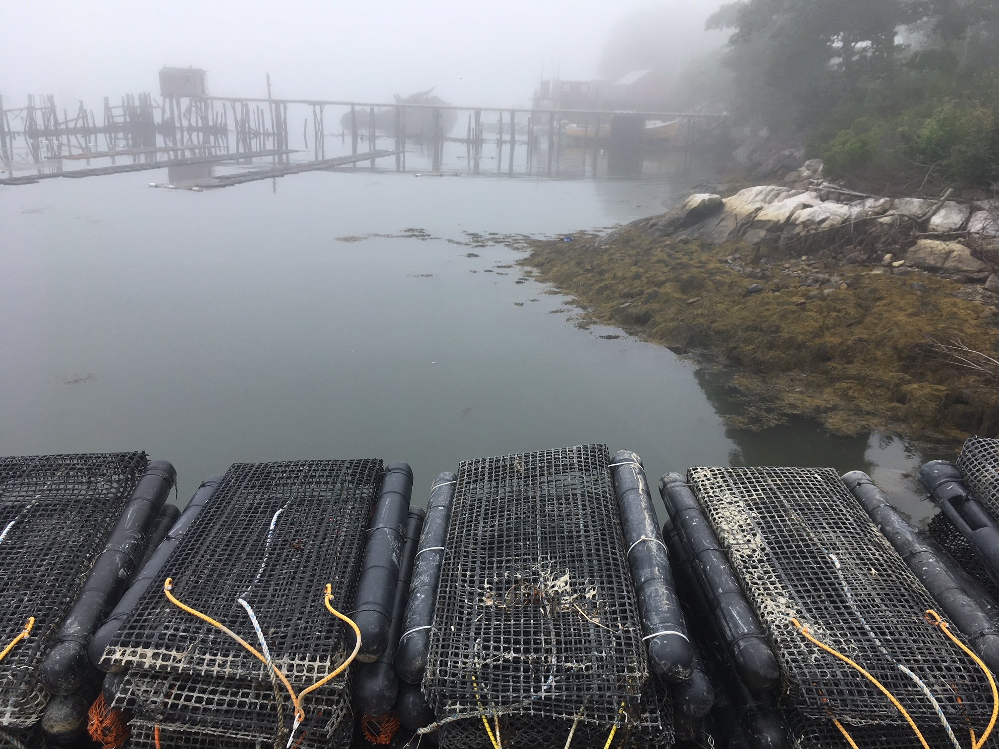 Aquaculture — Community Shellfish