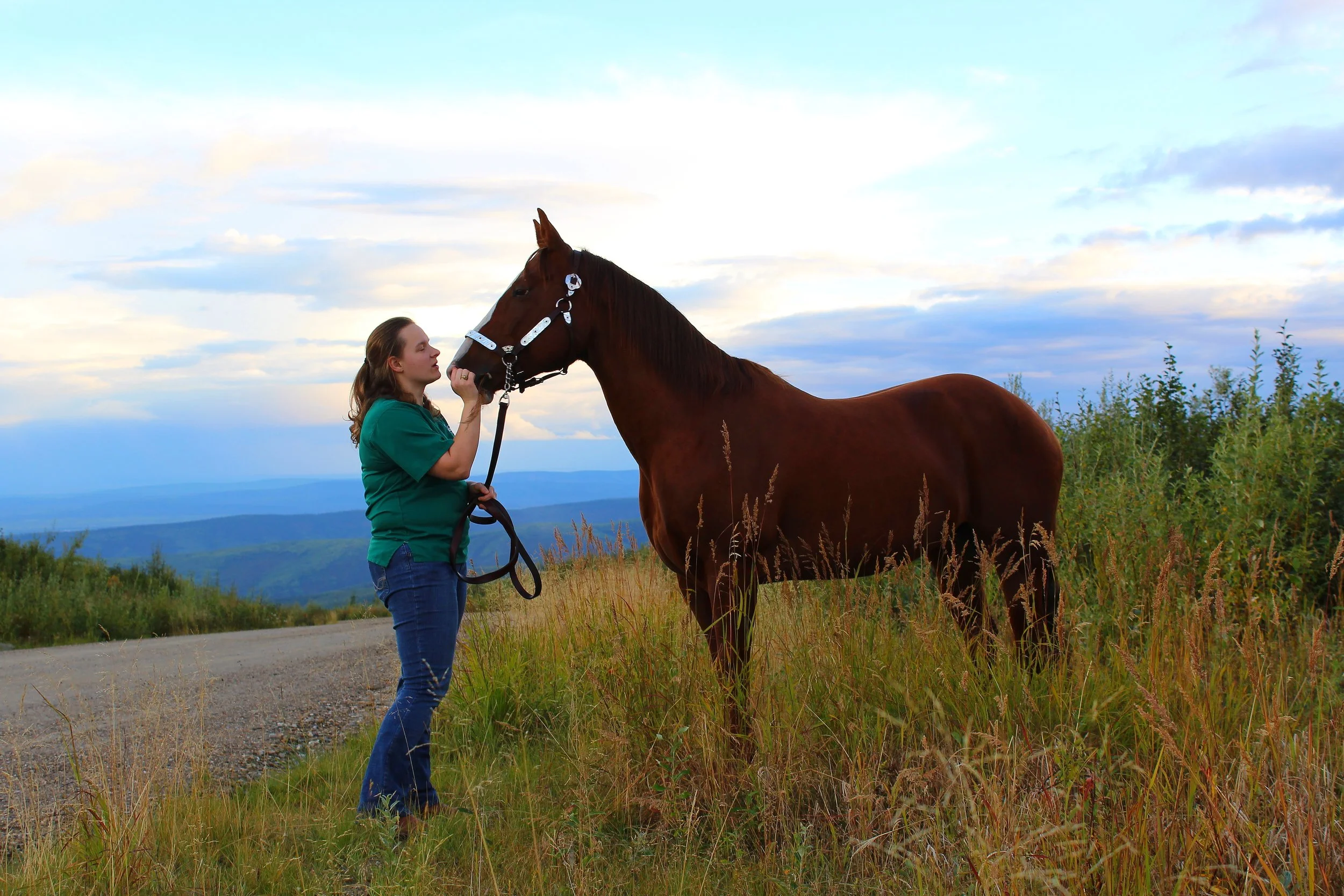 Doctors — BVC Equine