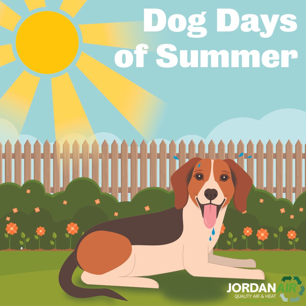 Where Does The Dog Days Of Summer Come From
