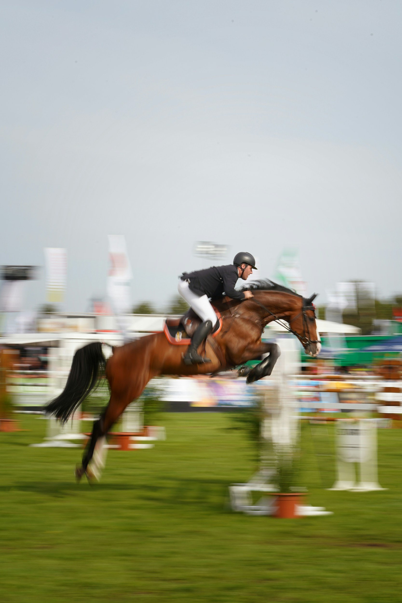 The Mane Event: Why the US Equestrian Market is an Undervalued Gem for ...