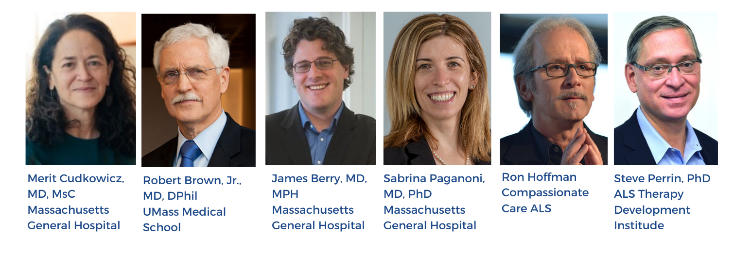 ALS ONE LICENSE PLATE