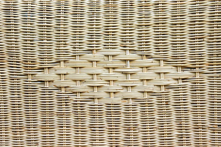 What's the difference between cane and rattan? - Hue and Space ...