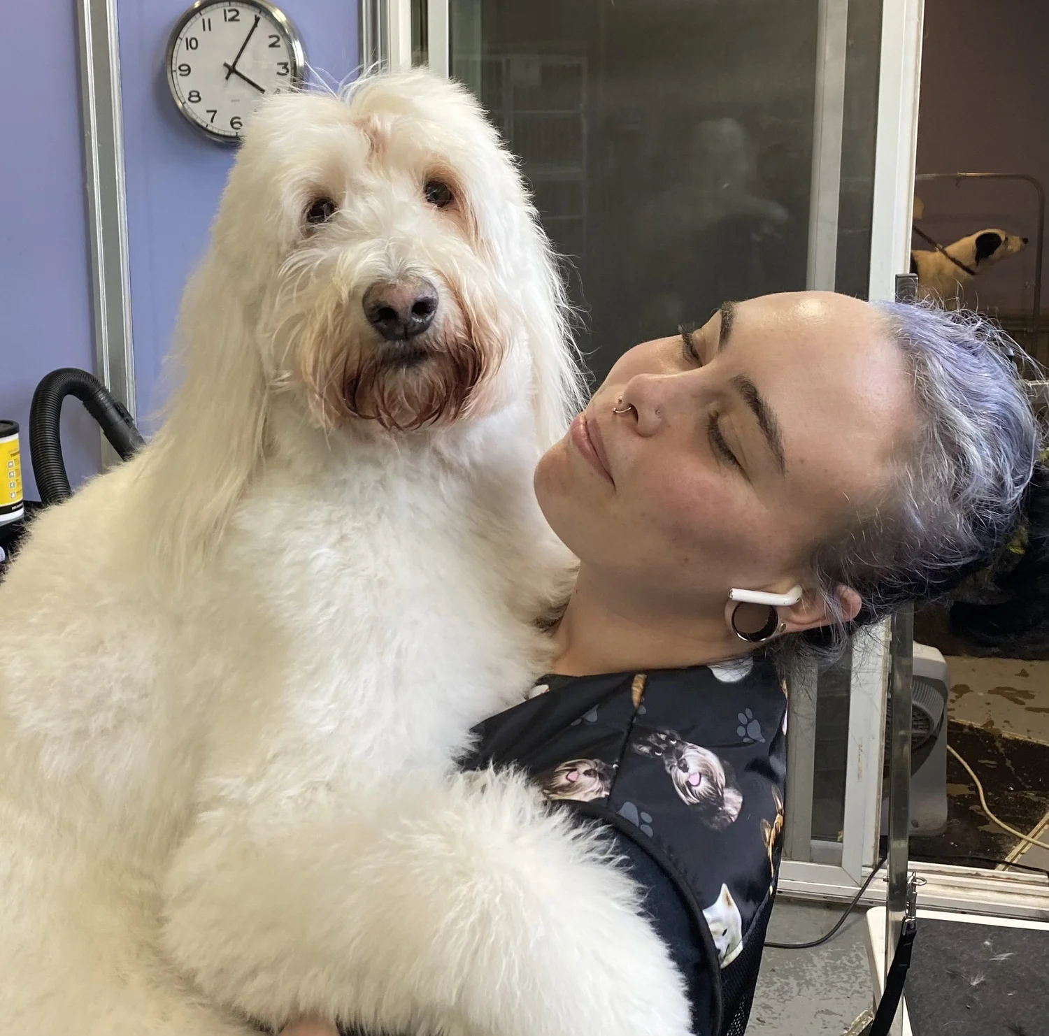 Grooming — LexiDog