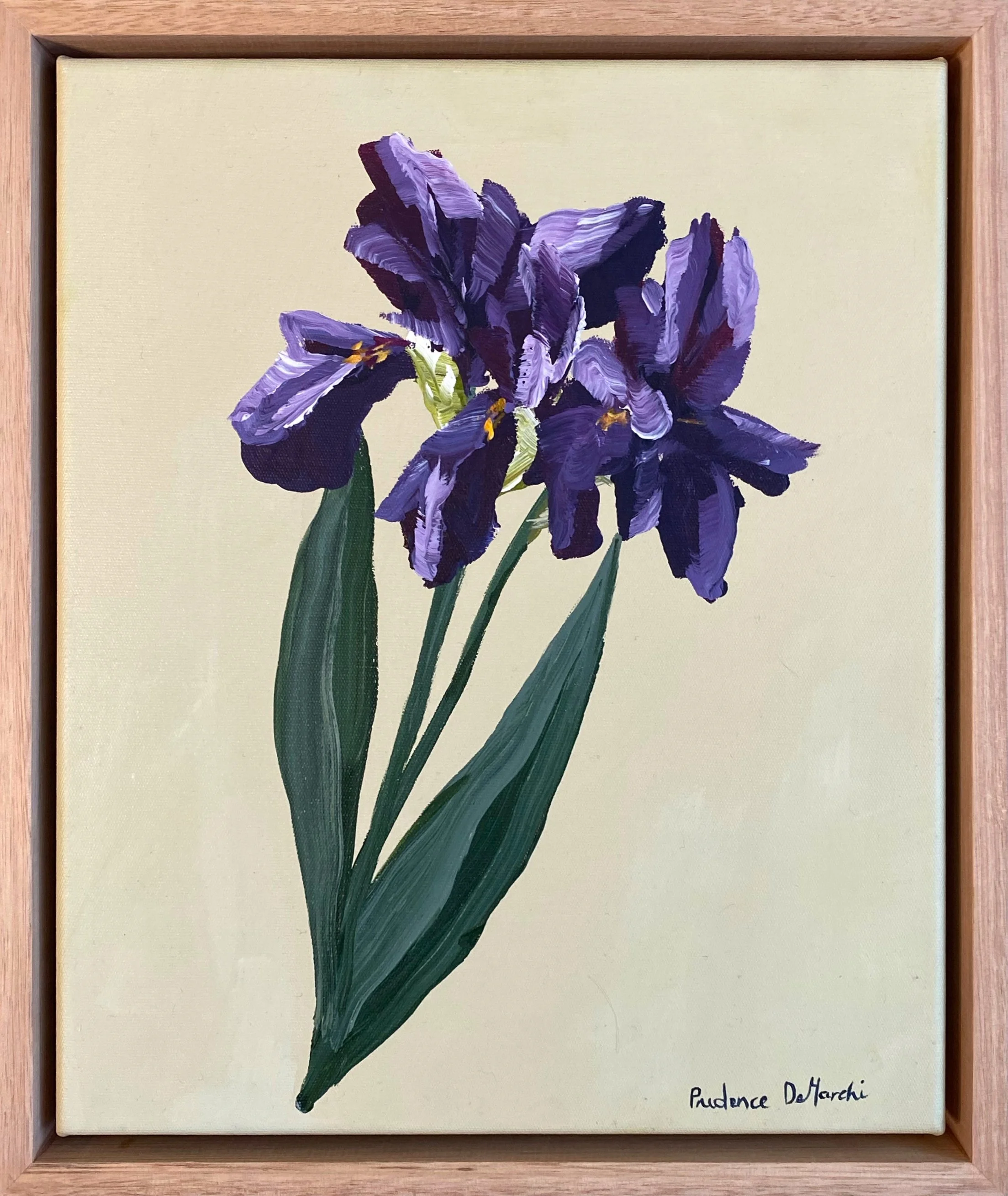 Original Paintings | Australian Artist | Prudence De Marchi