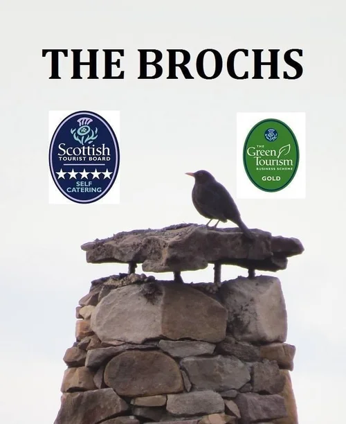 THE BROCHS OF COIGACH
