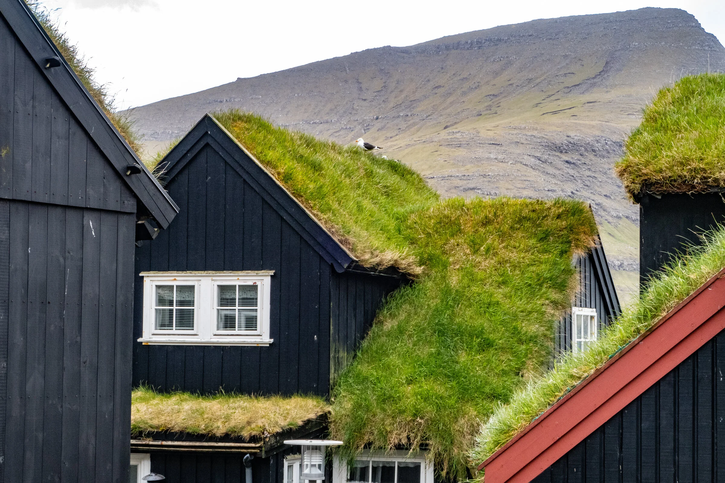 TURF ROOFS OF THE FAROE ISLANDS — Photography in Mind