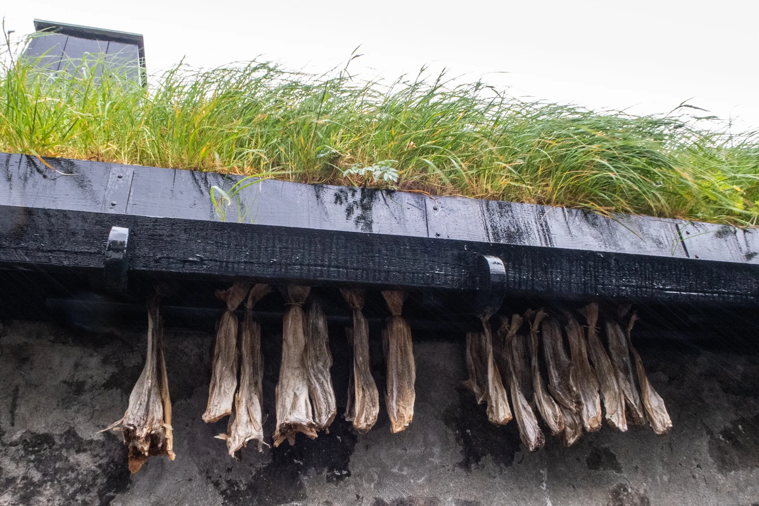 TURF ROOFS OF THE FAROE ISLANDS — Photography in Mind