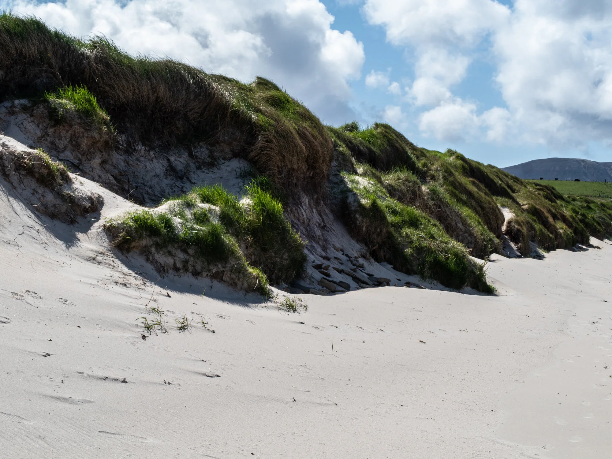 GRAEMSAY MAERL — Photography in Mind