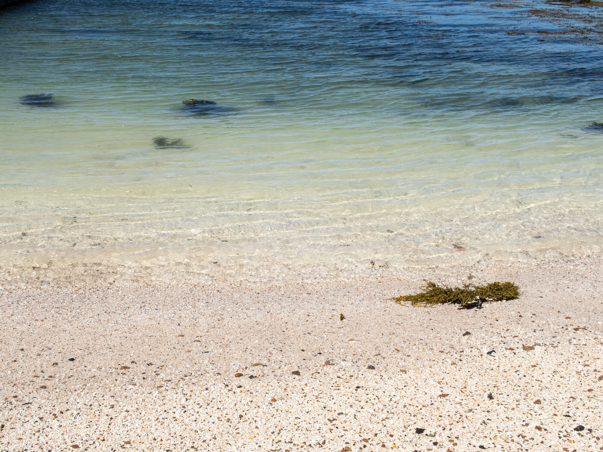 GRAEMSAY MAERL — Photography in Mind