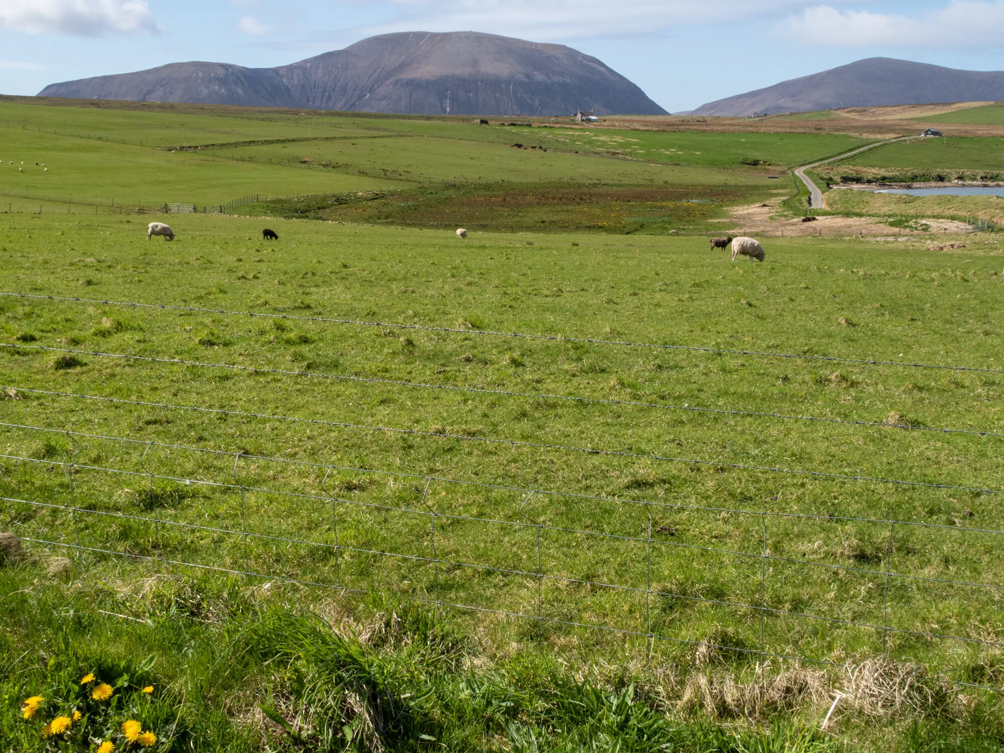 GRAEMSAY MAERL — Photography in Mind