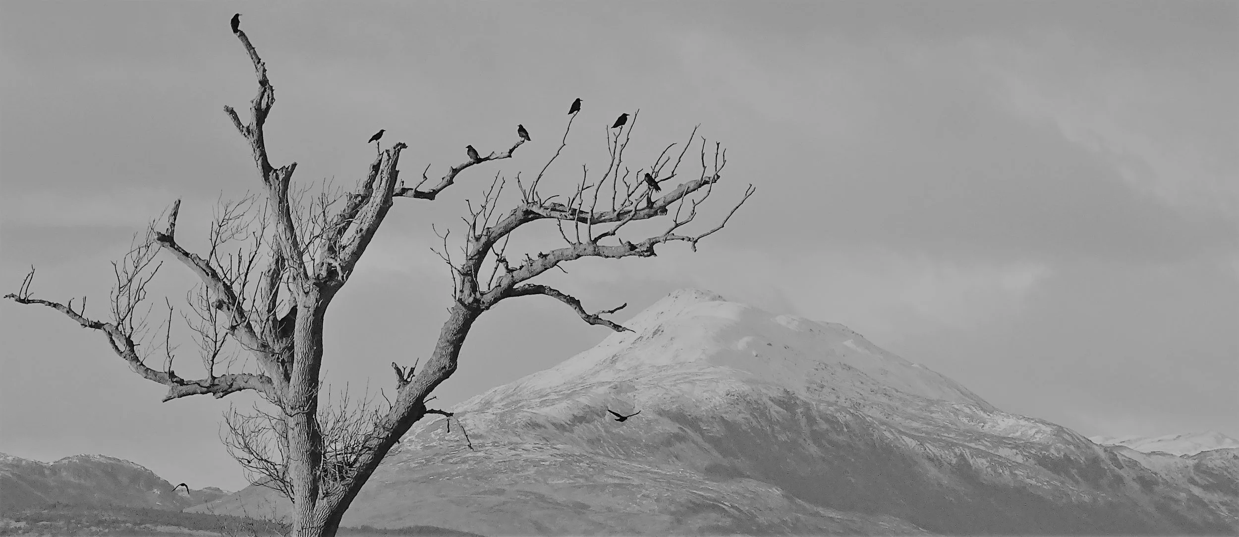 New books — Jim Crumley