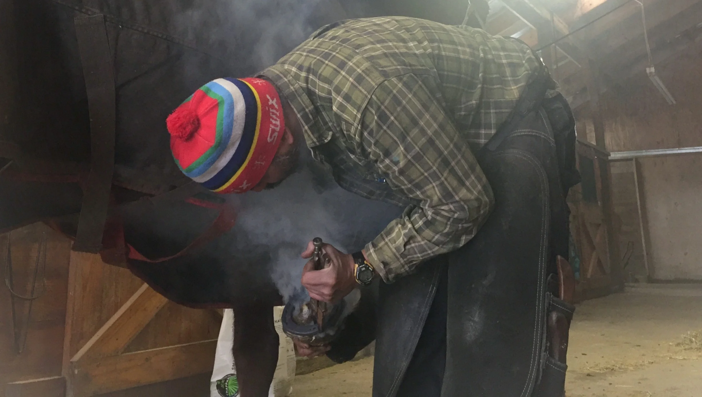 Aaron Lee Farrier Service