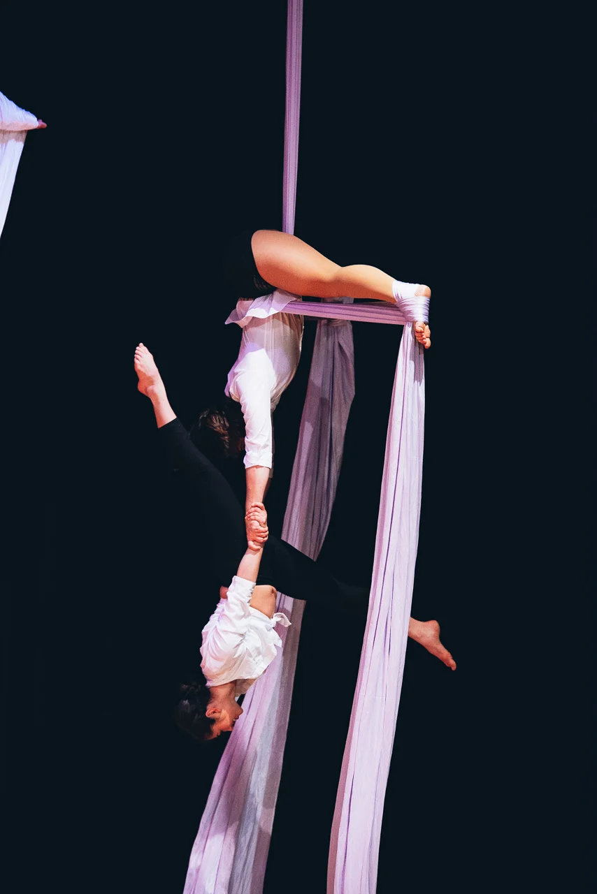 #1 Aerial Dance Studio | Boulder & Denver | In The Wings