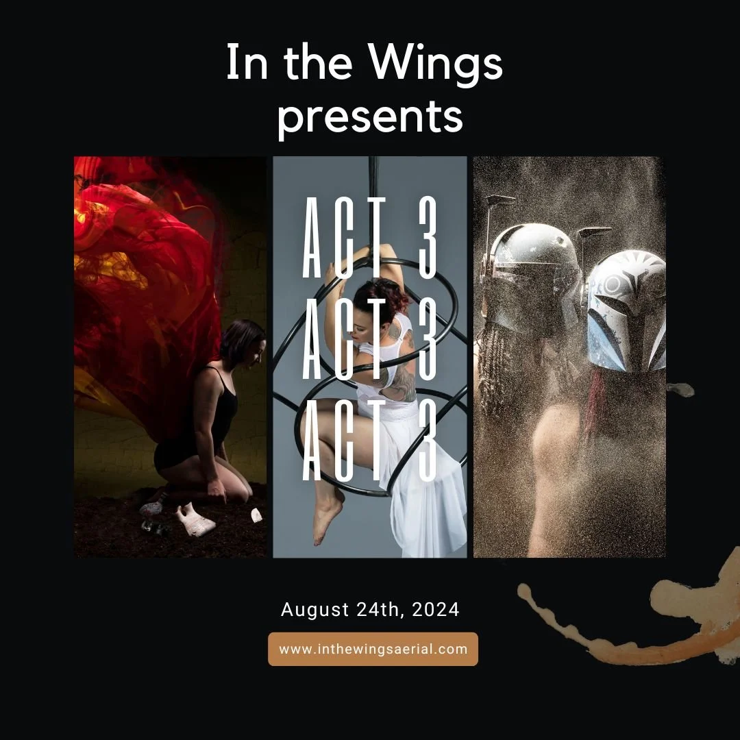 #1 Aerial Dance Studio | Boulder & Denver | In The Wings