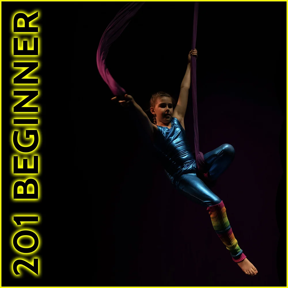 FLIGHT Aerial & Pole Dance Studio | Class Schedule — Flight Aerial ...