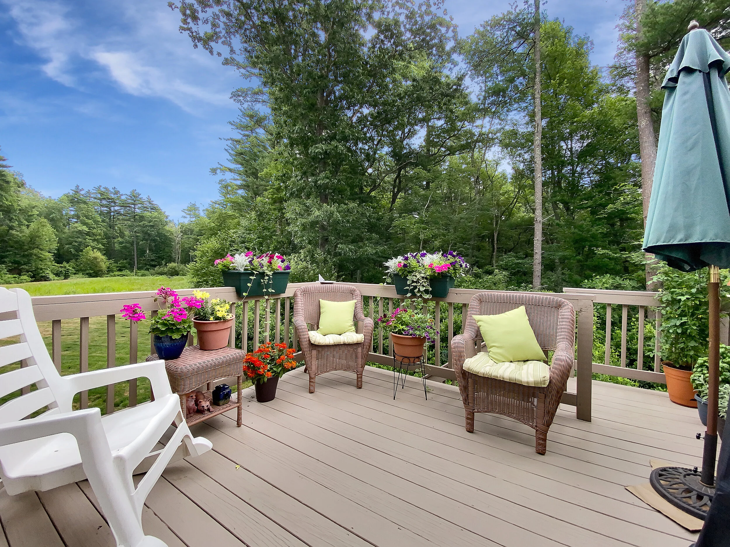 33 Sarah Reed Hunt Way — Jen Sylvester