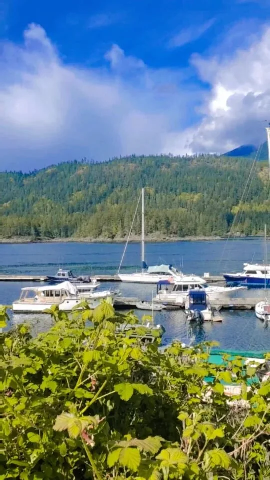 About — The Green Boater