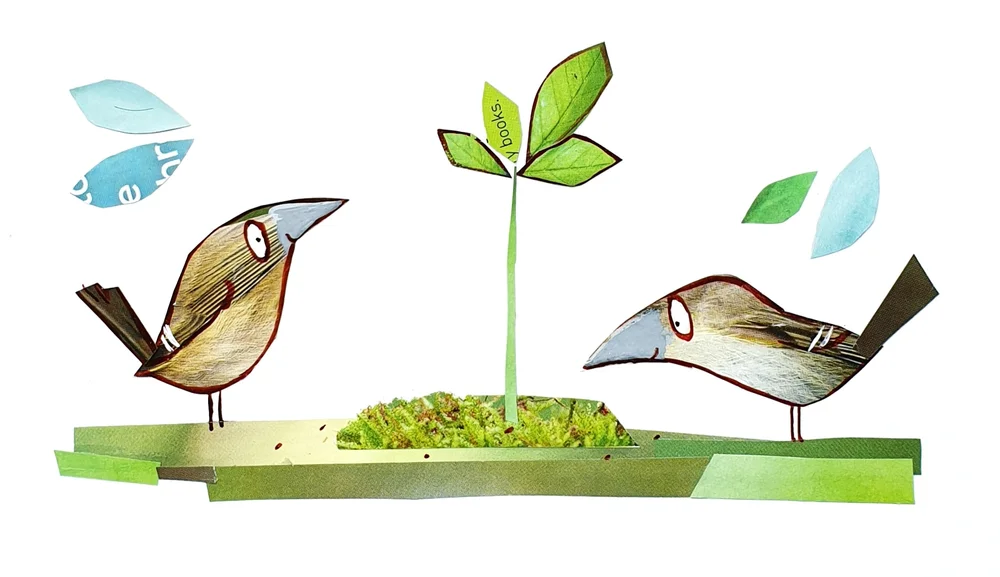 Story Seeds — Tim Warnes