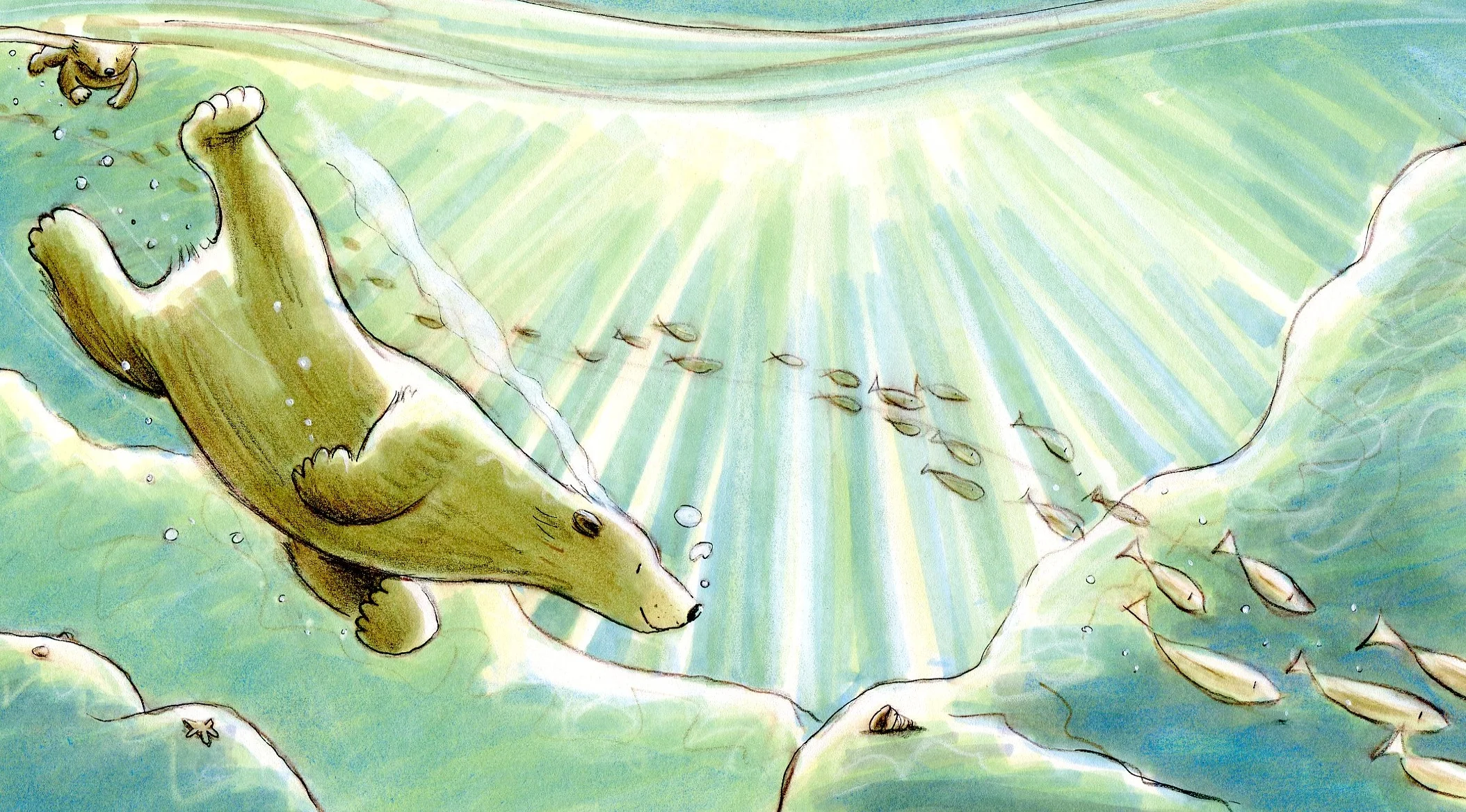 On wild swimming — Tim Warnes