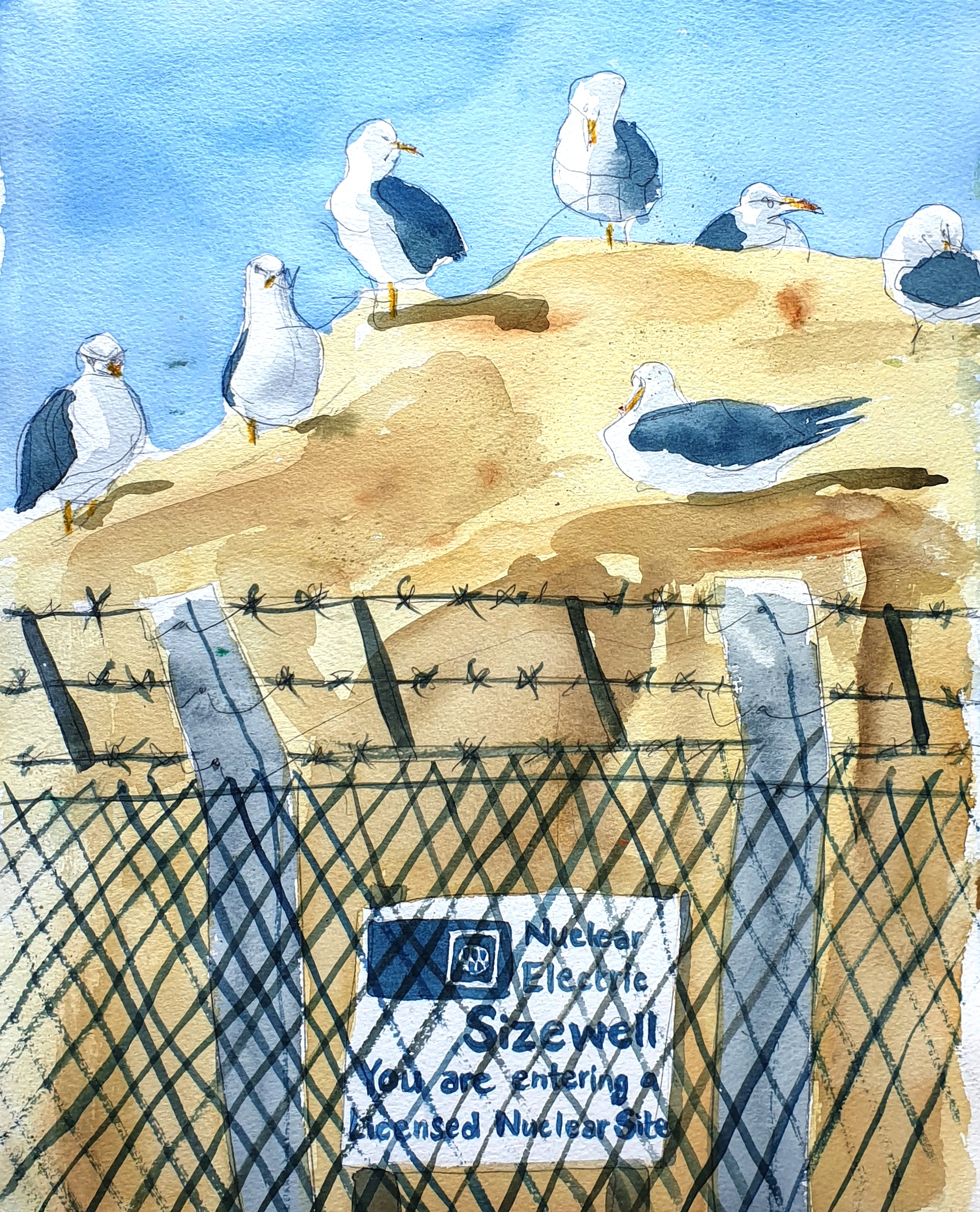 A bit about birds — Tim Warnes